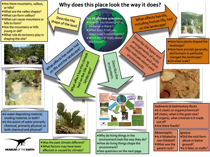 Fieldwork graphic organizer